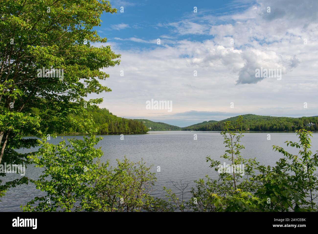 Village from path hi-res stock photography and images - Alamy