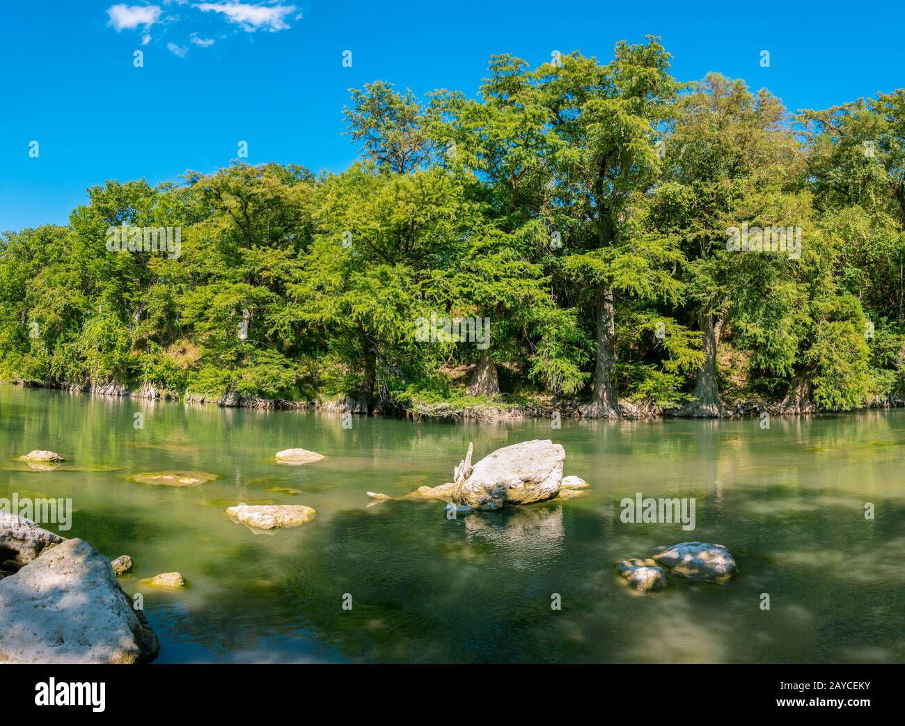 Guadalupe river state park Stock Photo - Alamy