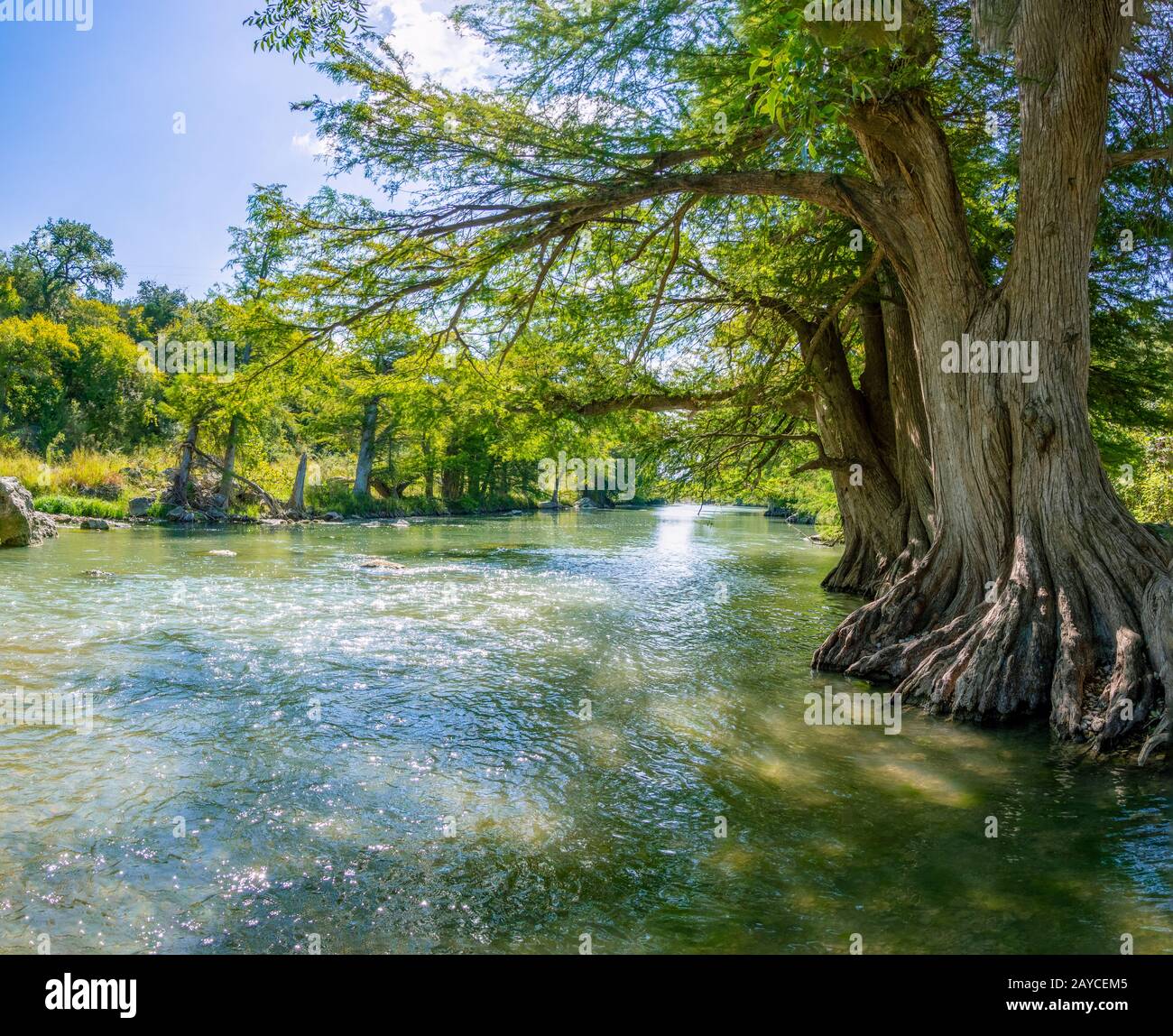 Guadalupe river texas hi-res stock photography and images - Alamy