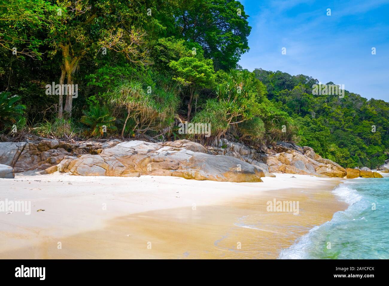 Turtle sanctuary malaysia hi-res stock photography and images - Alamy