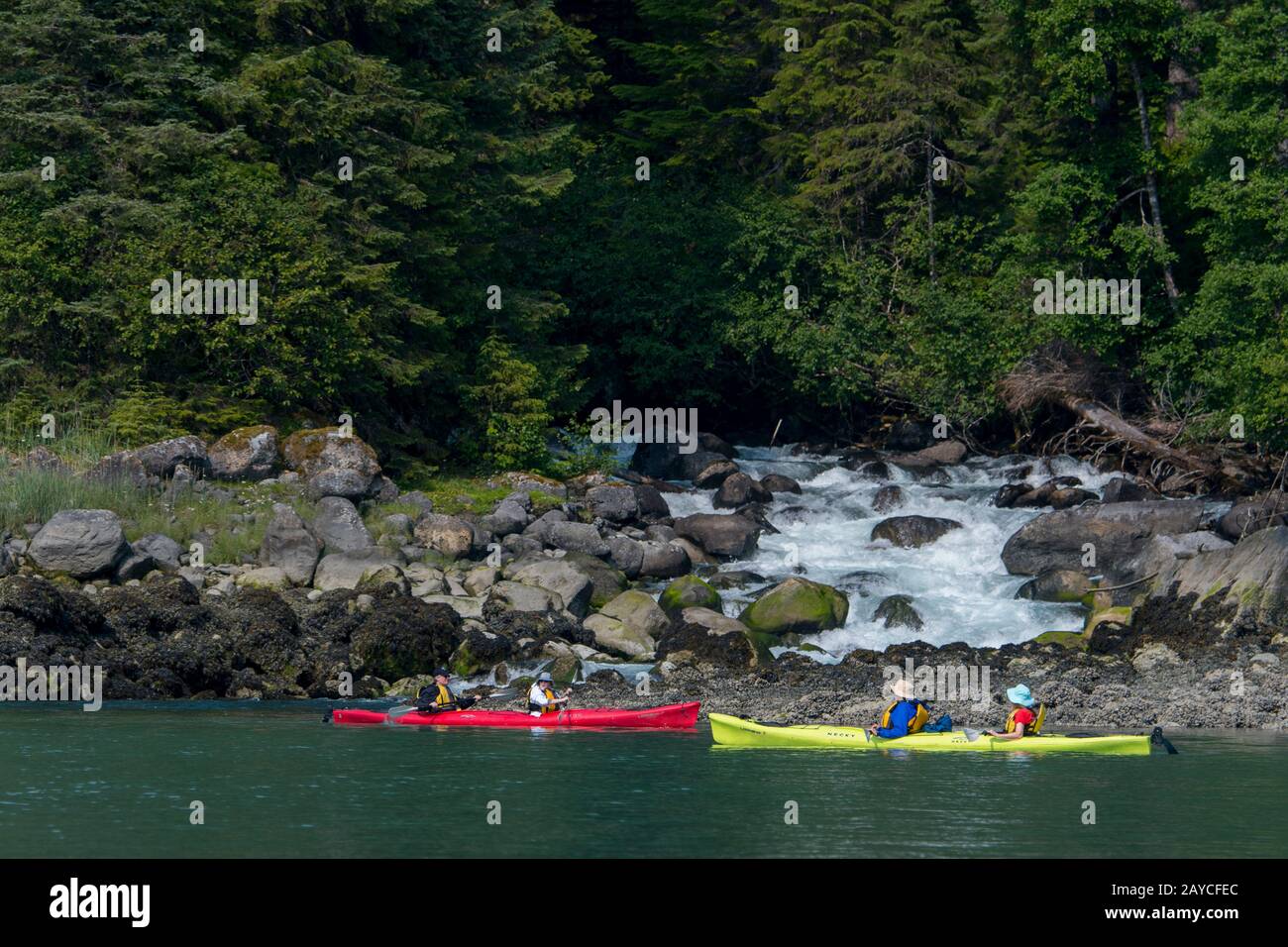 Seniors kayaking in Thomas Bay near Juneau, Tongass National Forest ...