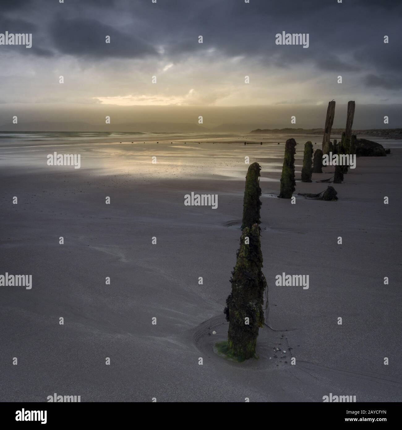 Jetty poles hi-res stock photography and images - Alamy
