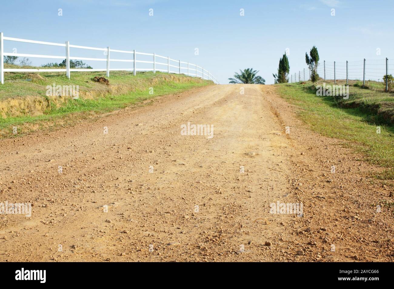 rural road in farm Stock Photo - Alamy