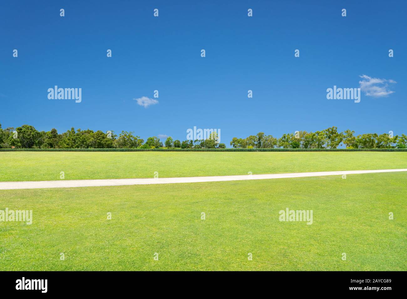Green field with pathway and blue sky Stock Photo - Alamy