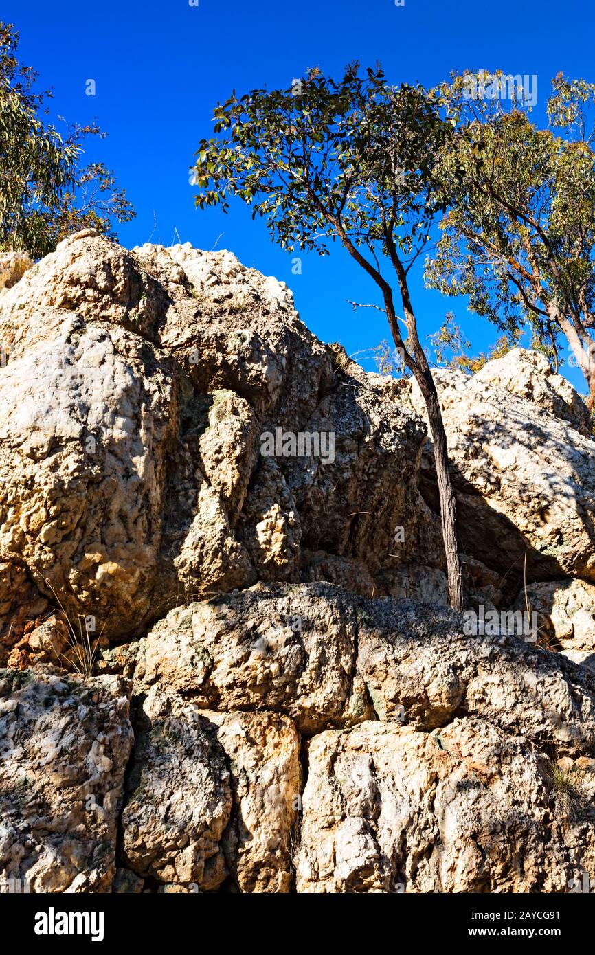 Lillicur Australia / Amherst Reef Geological Reserve in Lillicur ...