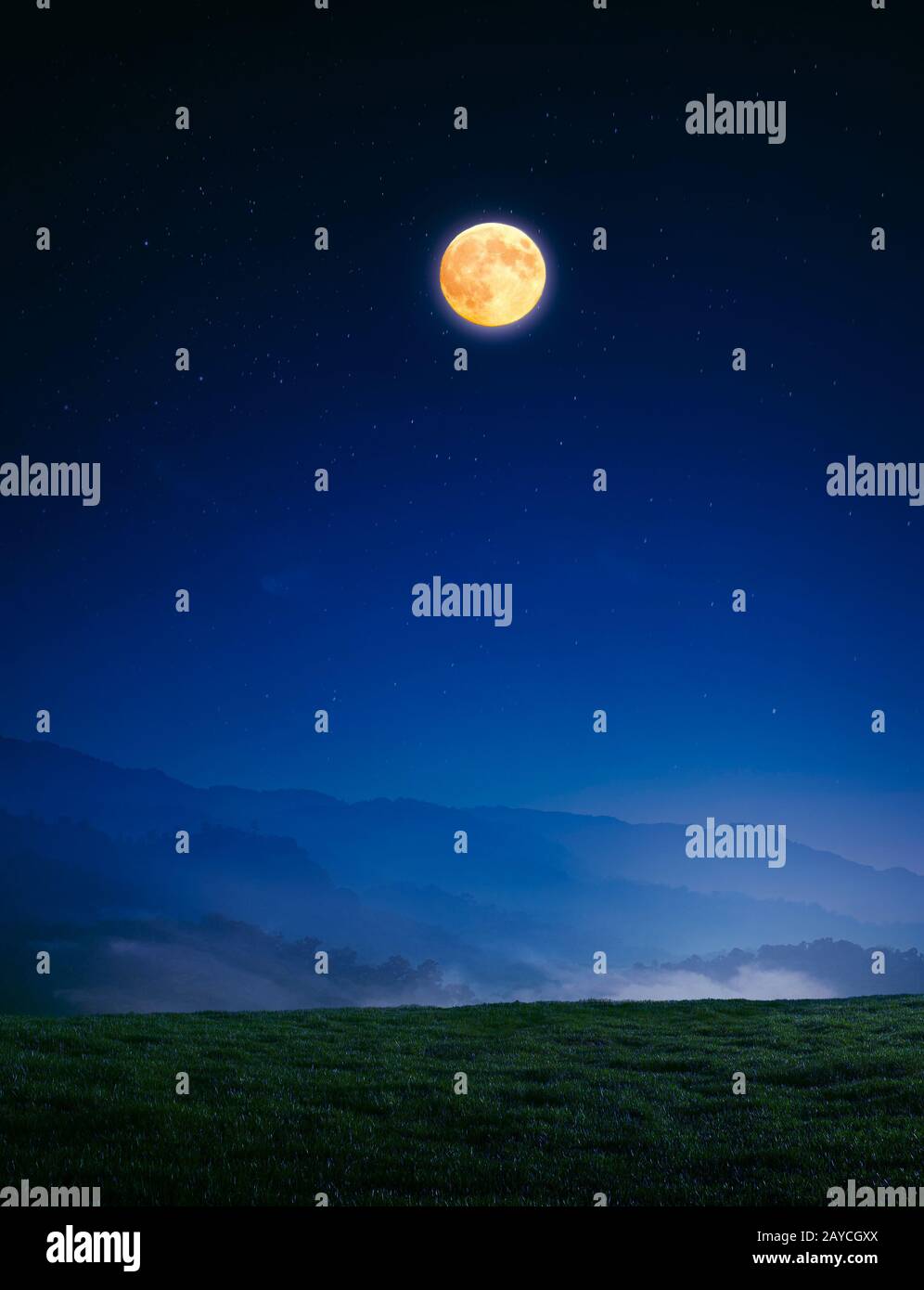 Grass dark night background hi-res stock photography and images - Alamy