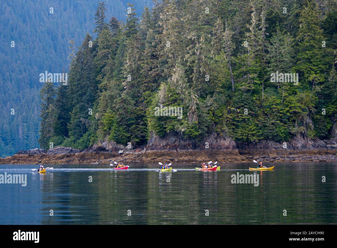 Passengers from the cruise ship Safari Endeavour kayaking in Windham ...