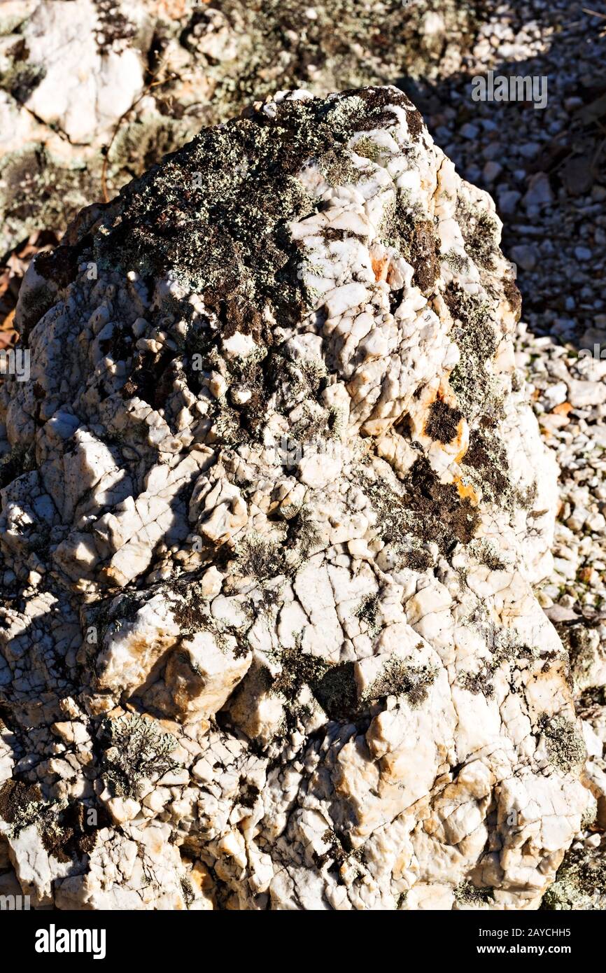 Lillicur Australia / Amherst Reef Geological Reserve in Lillicur ...