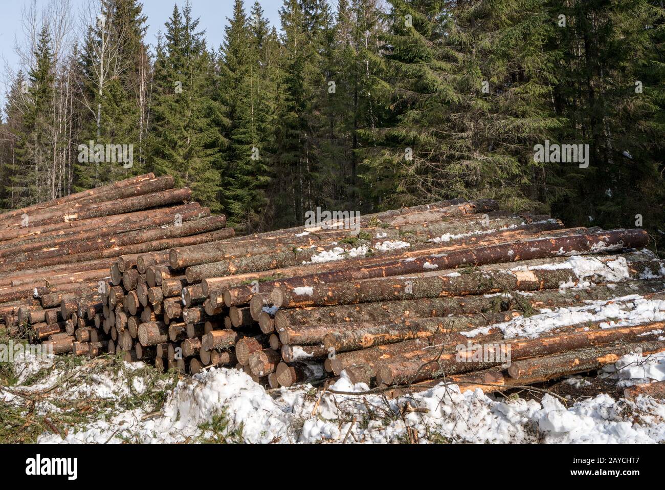 Felling logs hi-res stock photography and images - Alamy