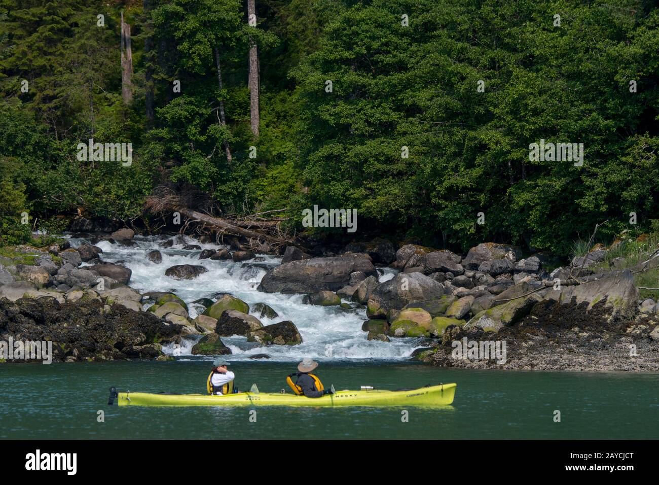 People kayaking in Thomas Bay near Juneau, Tongass National Forest ...