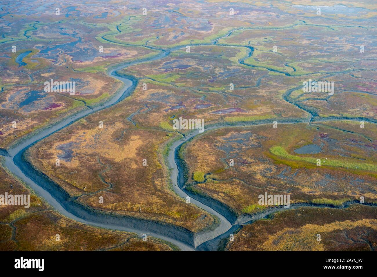 Aerial view of rivers on the flight from Anchorage to Lake Clark ...