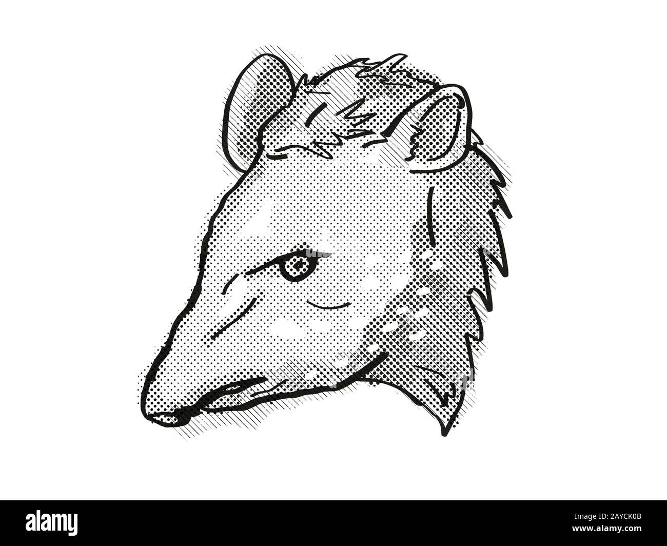 Endangered tapir Cut Out Stock Images & Pictures - Alamy