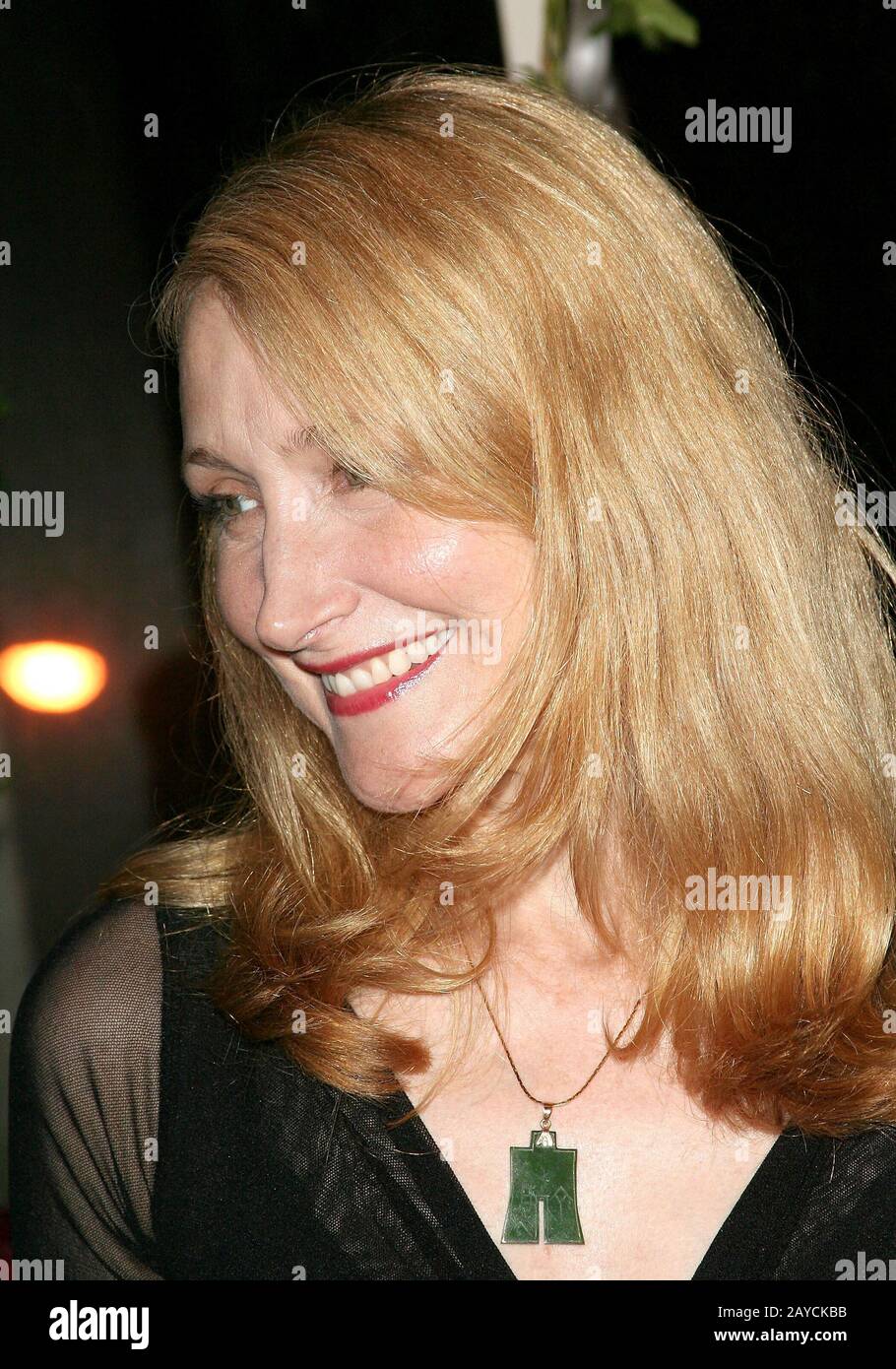 Actress patricia clarkson hi-res stock photography and images - Alamy