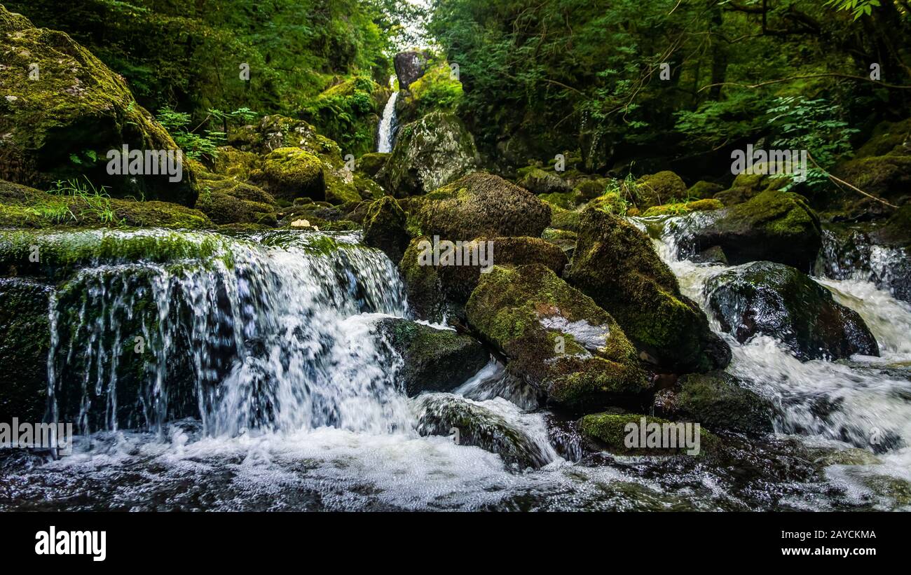 Mossy rocks hi-res stock photography and images - Alamy