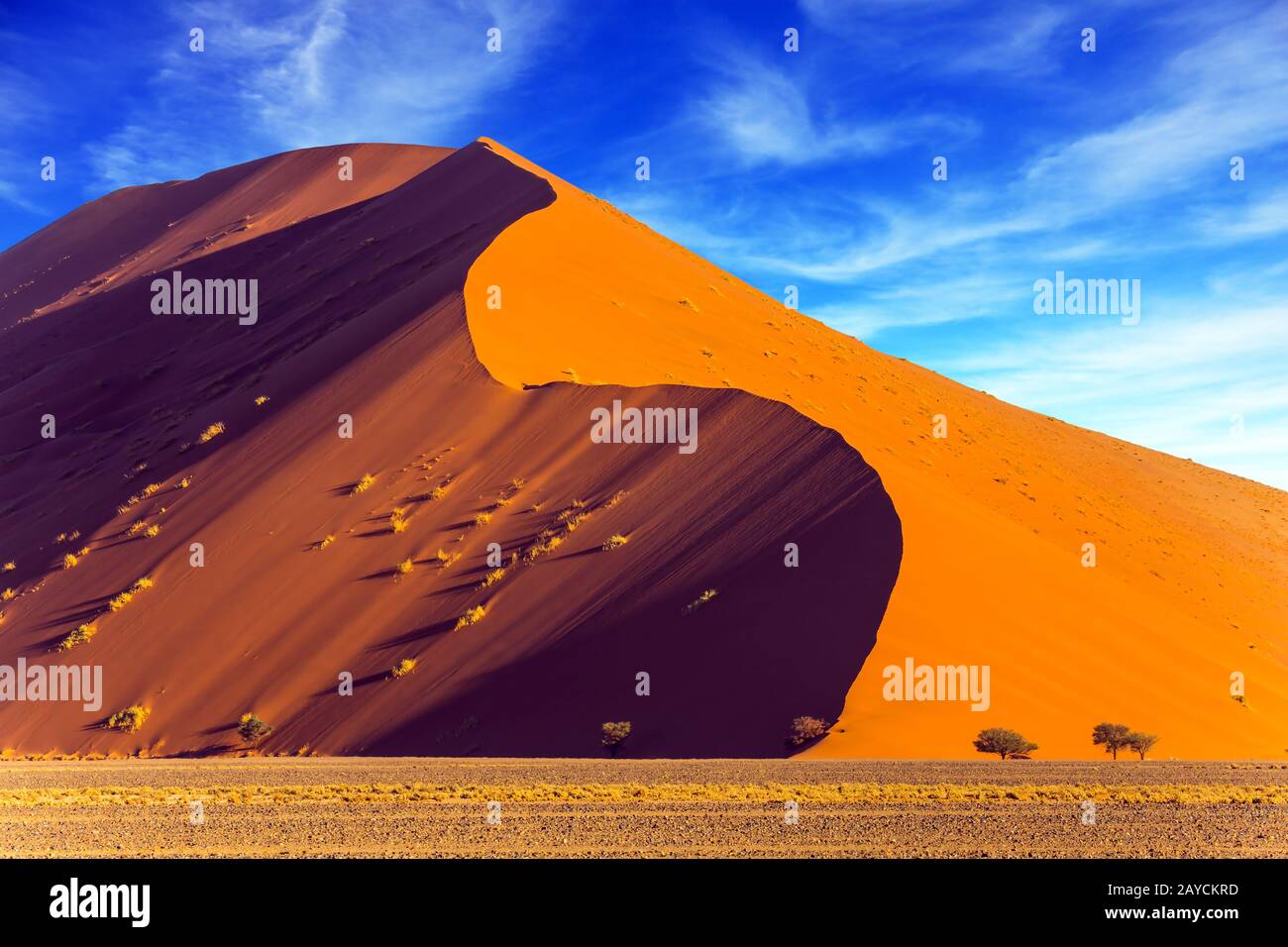 Namibia, South Africa Stock Photo - Alamy