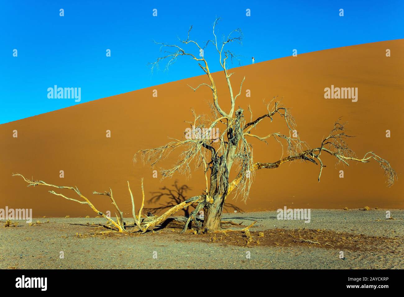 Fairy tale world hi-res stock photography and images - Alamy