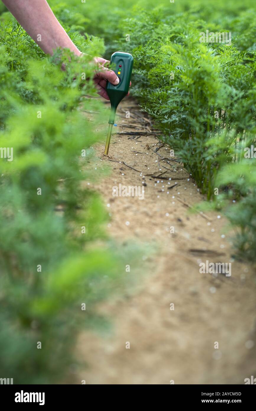 Measure soil with digital device. Green plants and woman farmer measure ...