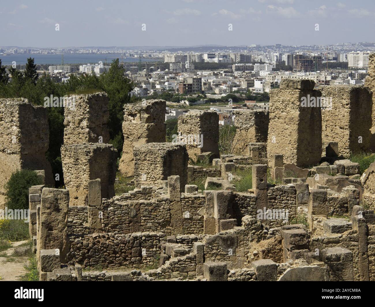 tunis, the capital of Tunisia Stock Photo - Alamy