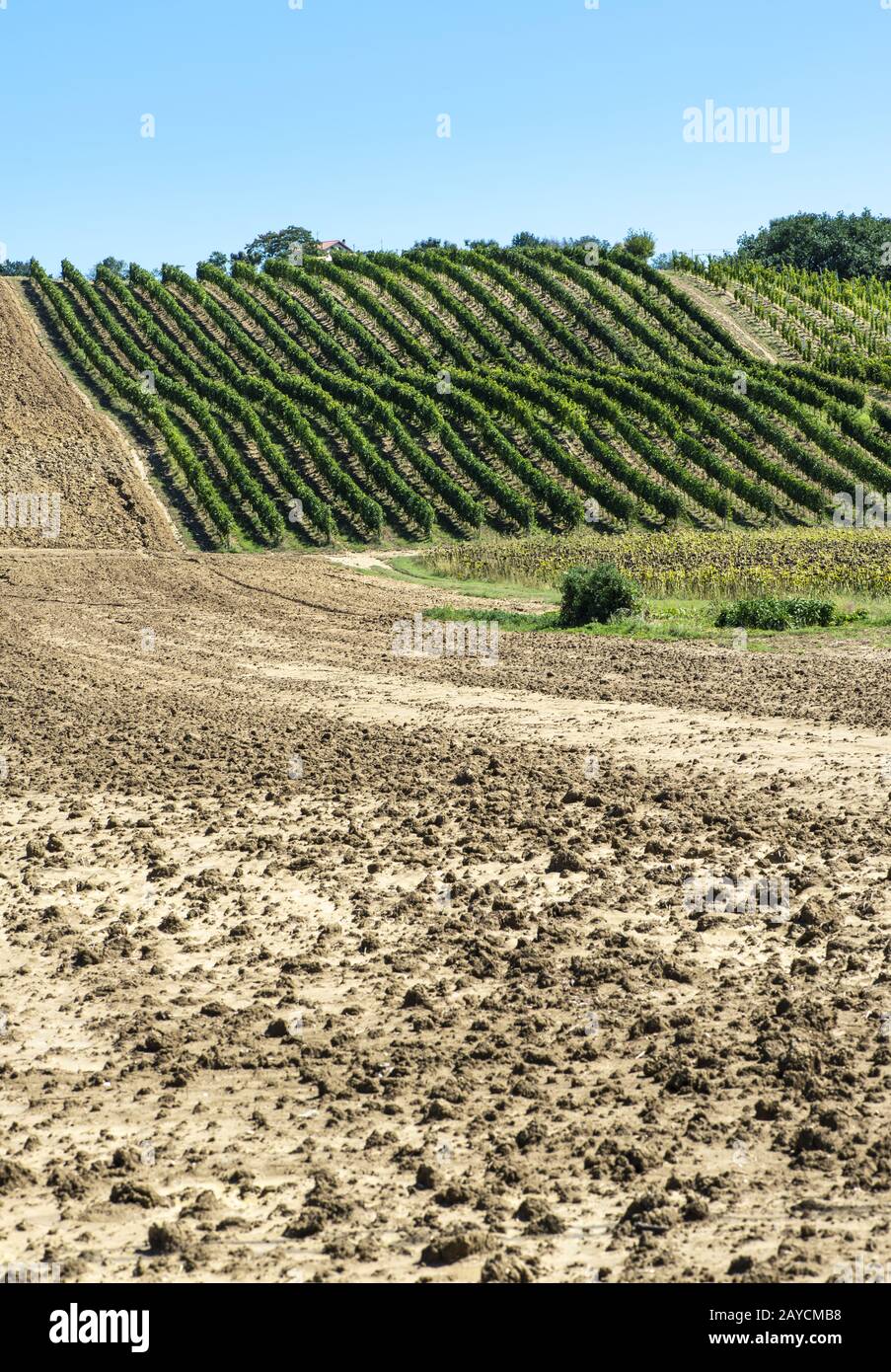 Tilled ground hi-res stock photography and images - Alamy