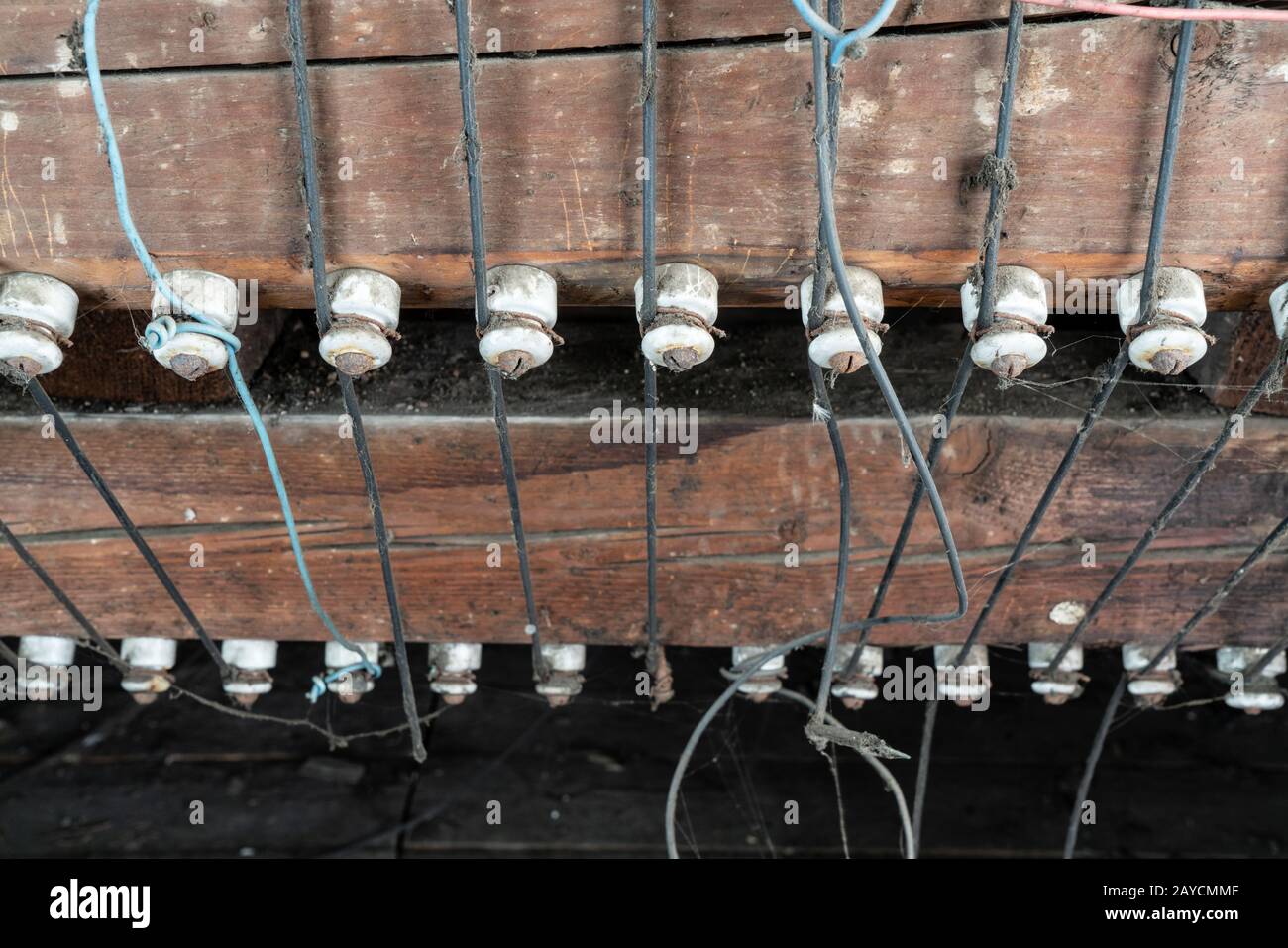 Display board of bathing cells with signal wiring Stock Photo - Alamy