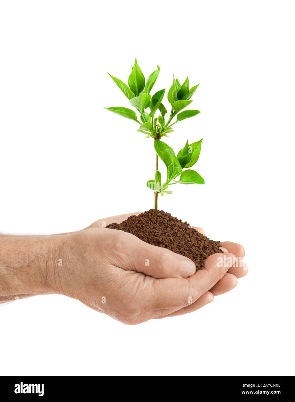 Concept, hands, man, old Cut Out Stock Images & Pictures - Alamy