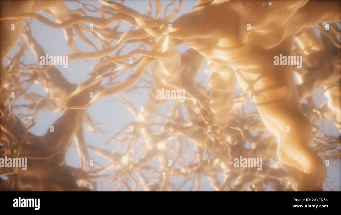 Human neuron micrograph hi-res stock photography and images - Alamy