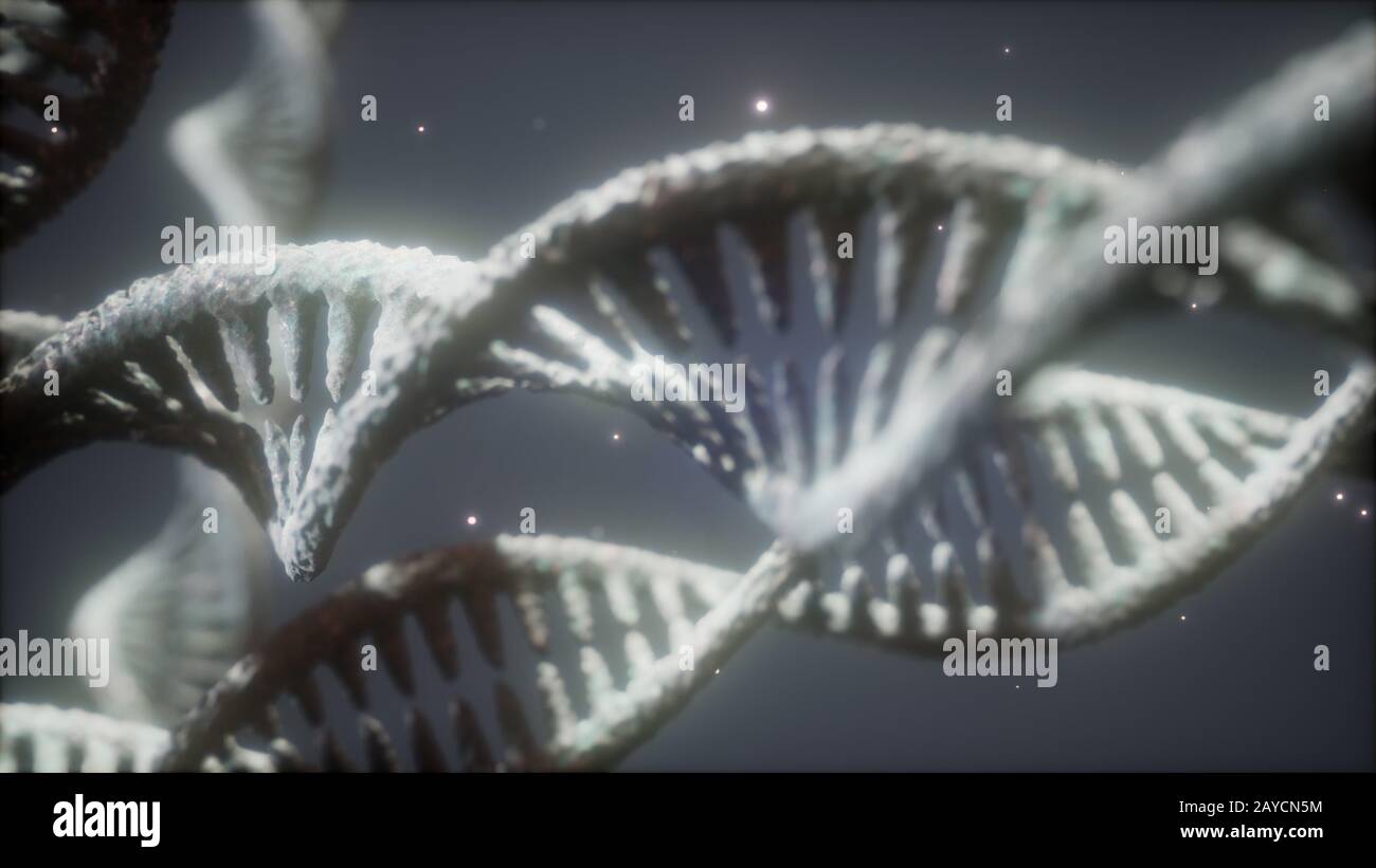 Helical structure hi-res stock photography and images - Alamy