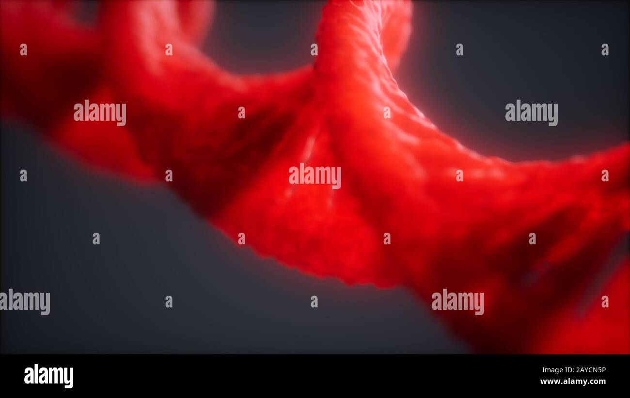 loopable structure of the DNA double helix animation Stock Photo - Alamy