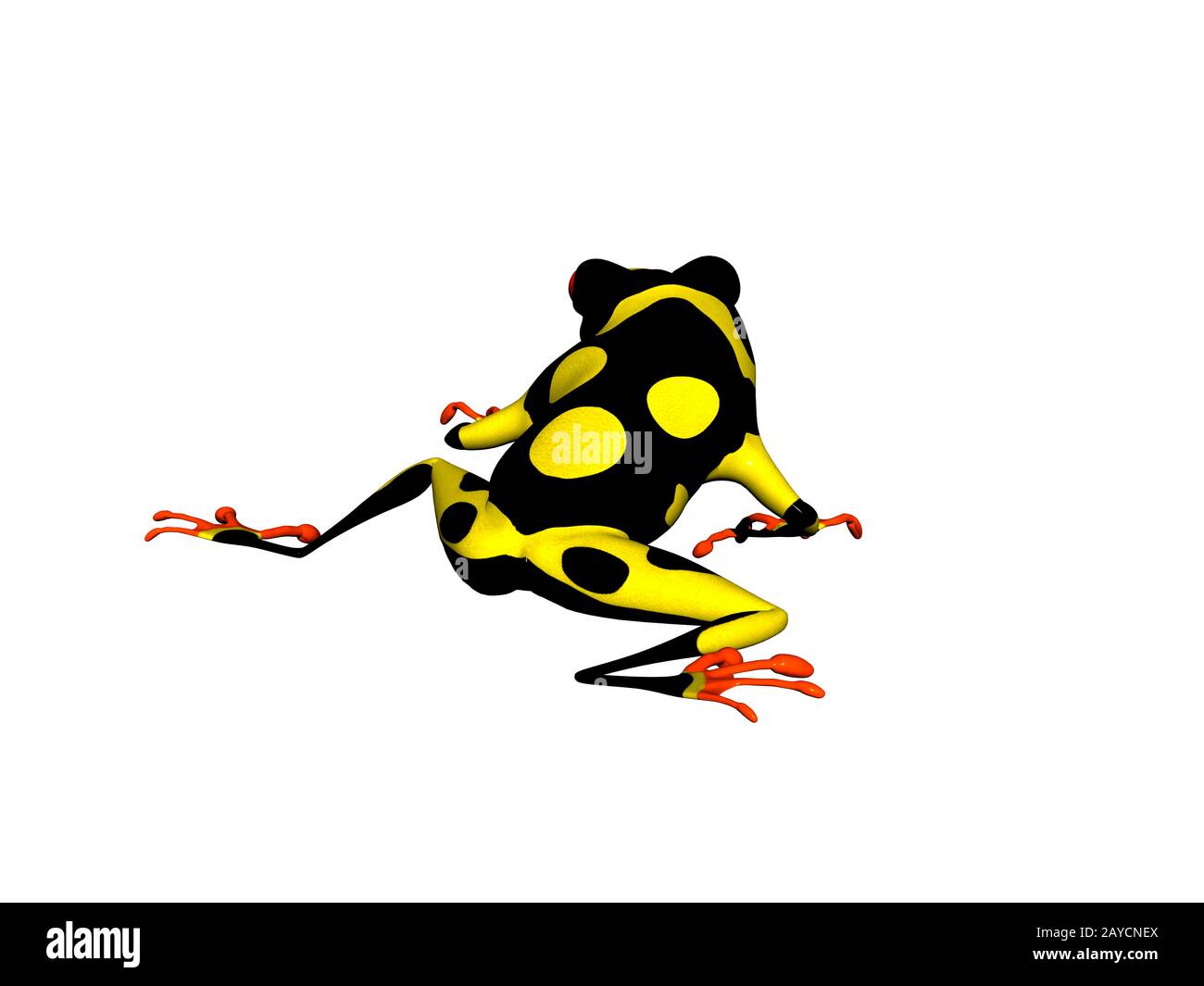 Poison dart frog red Cut Out Stock Images & Pictures - Alamy