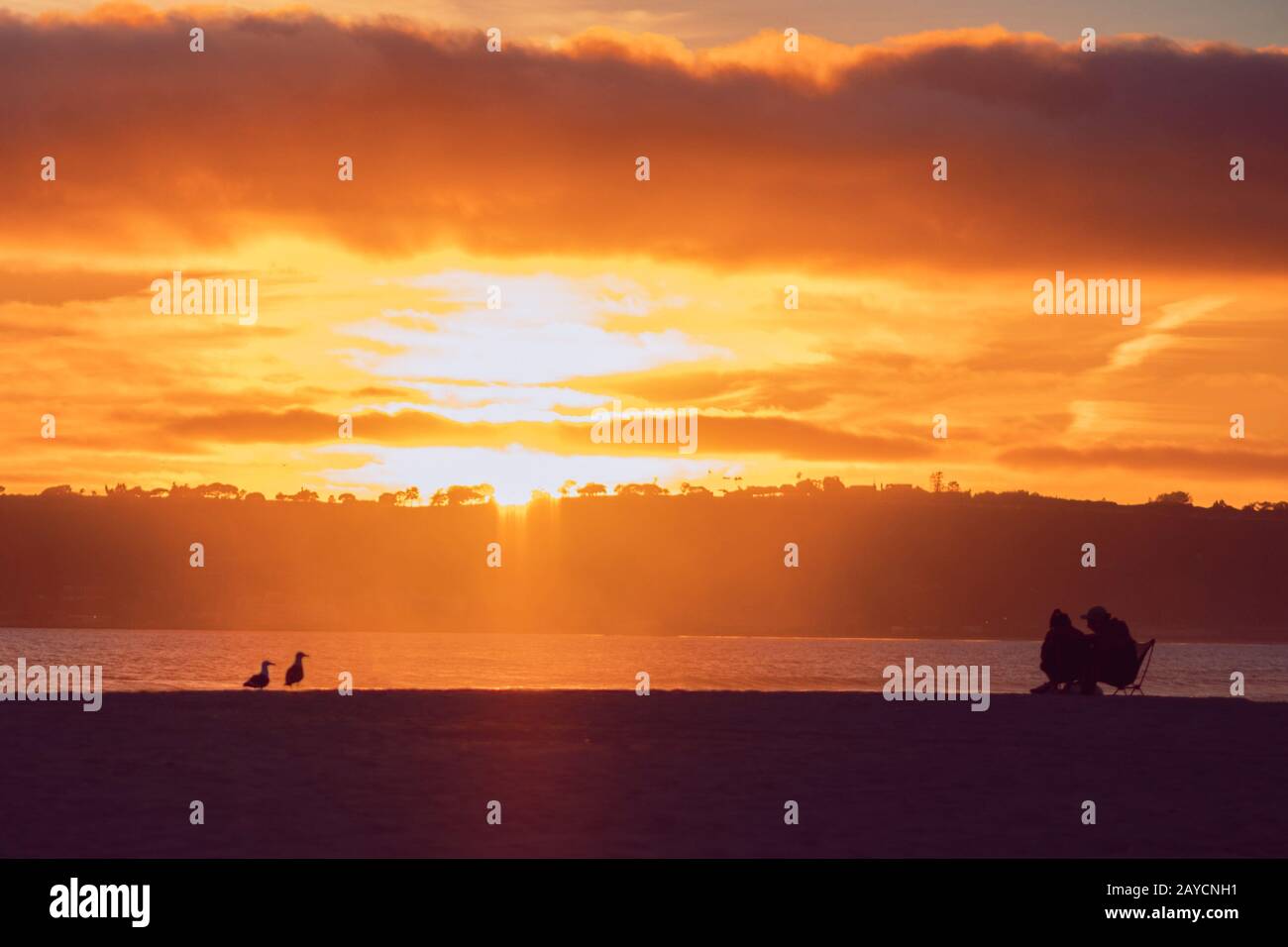 Beach sunset, seabirds and lovers cuddle each other Stock Photo - Alamy