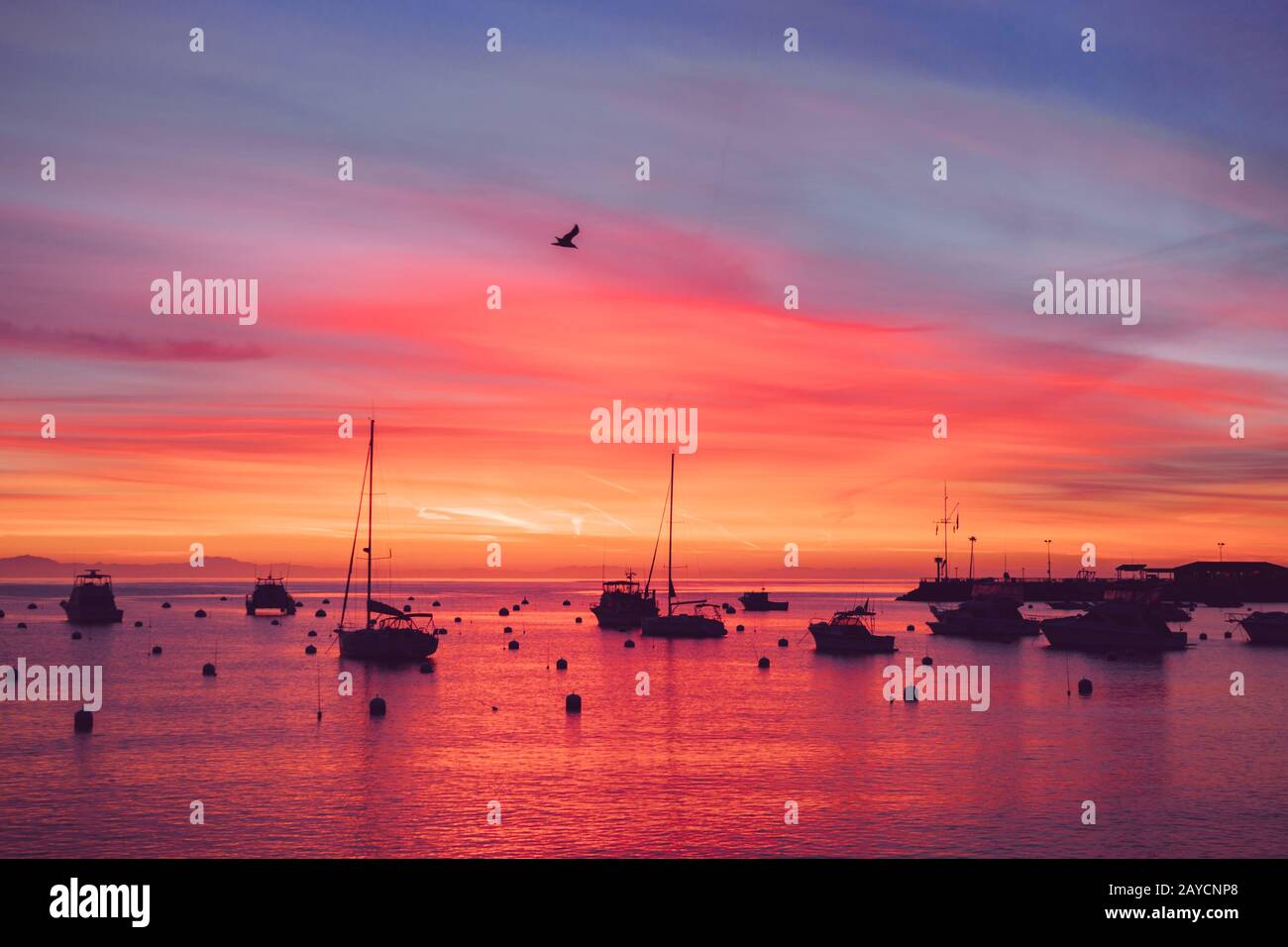 Beautiful sunrise on the beach on Catalina Island，a charming morning ...