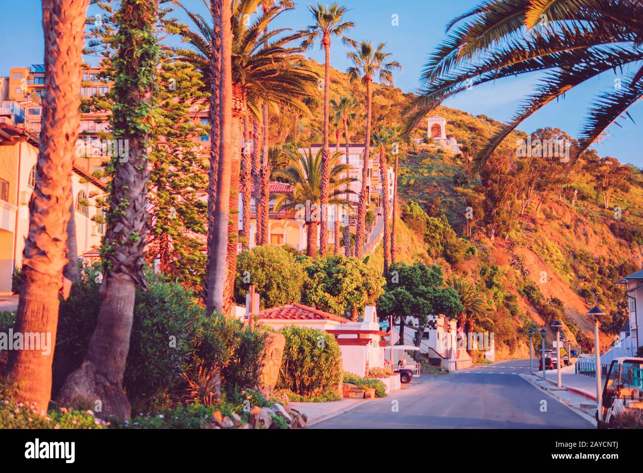 Beautiful sunrise on the beach on Catalina Island，a charming morning ...