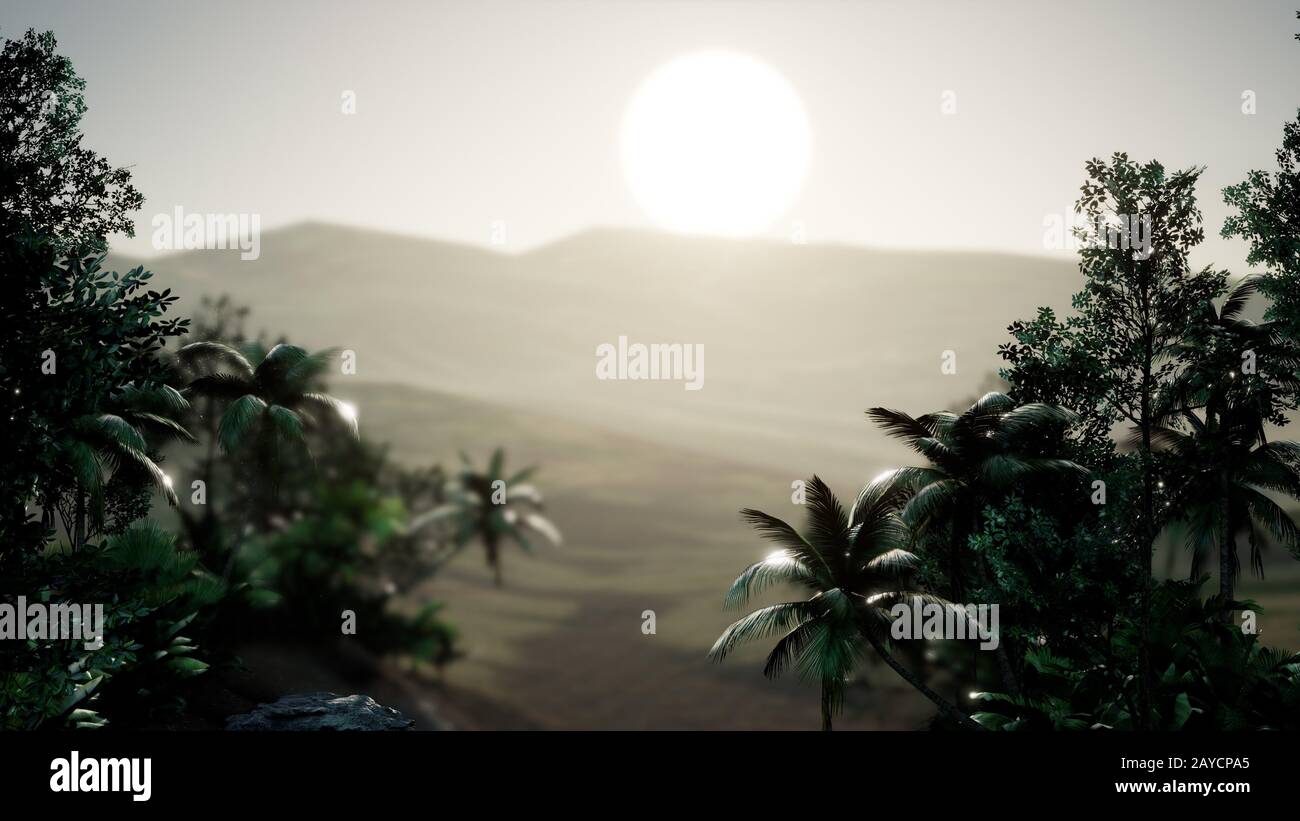 Coco palm trees tropical landscape Stock Photo - Alamy