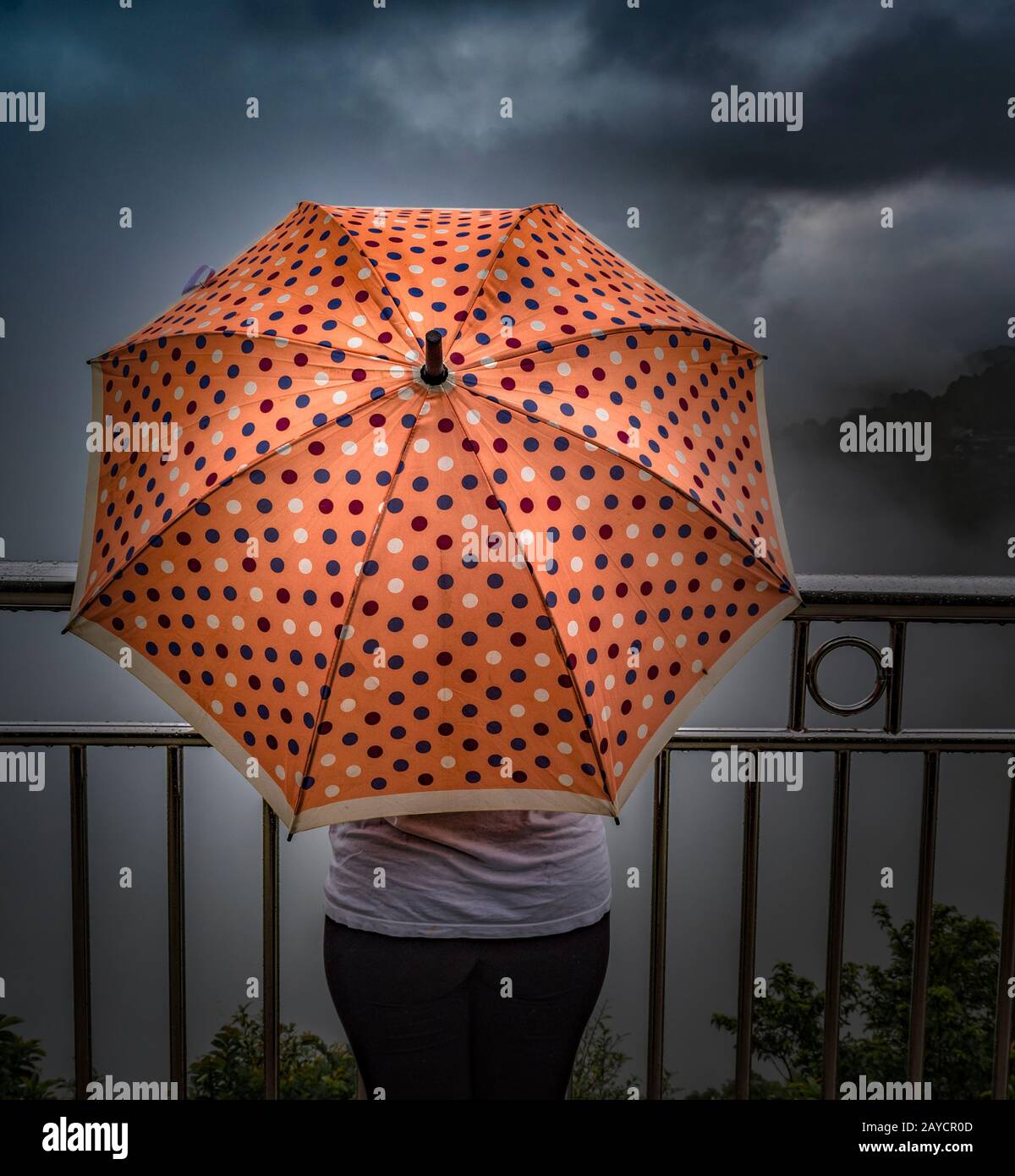 Monsoon Season Enjoy