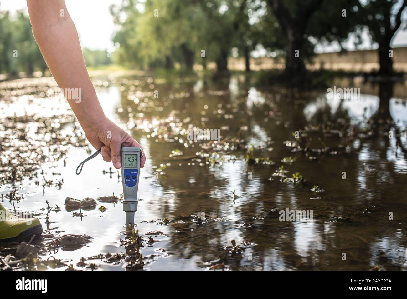Measure water content with digital device. PH meter Stock Photo - Alamy