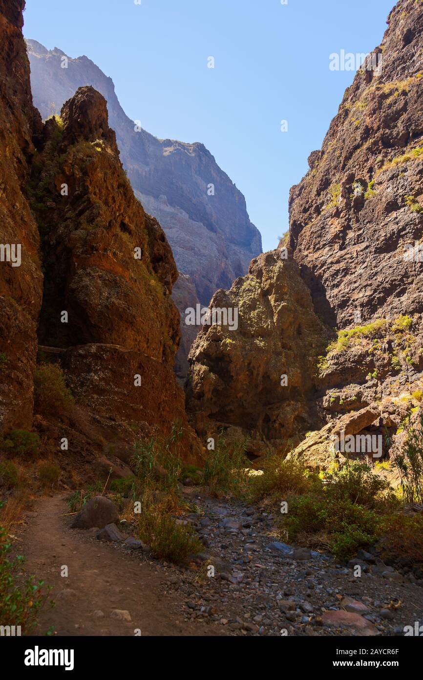 Famous canyon Masca at Tenerife - Canary Stock Photo - Alamy