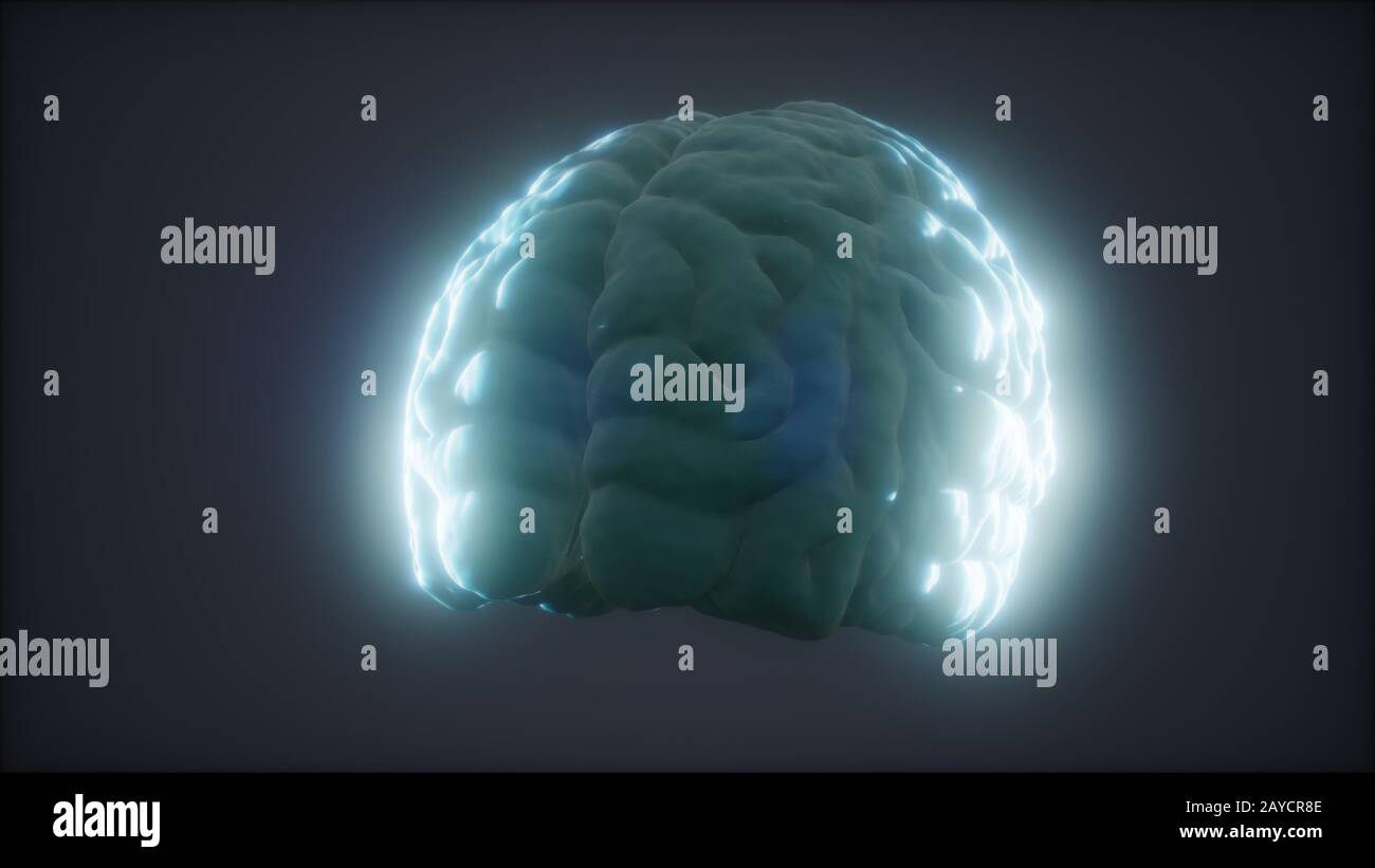 Loop Rotating Human Brain Animation Stock Photo - Alamy