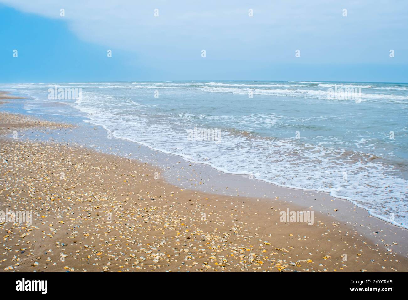 South texas coast landscape hi-res stock photography and images - Alamy