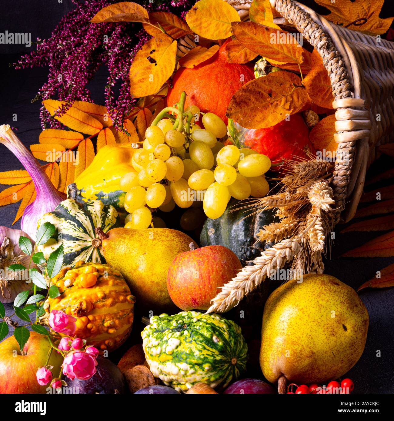 The beautiful and autumnal cornucopia Stock Photo - Alamy