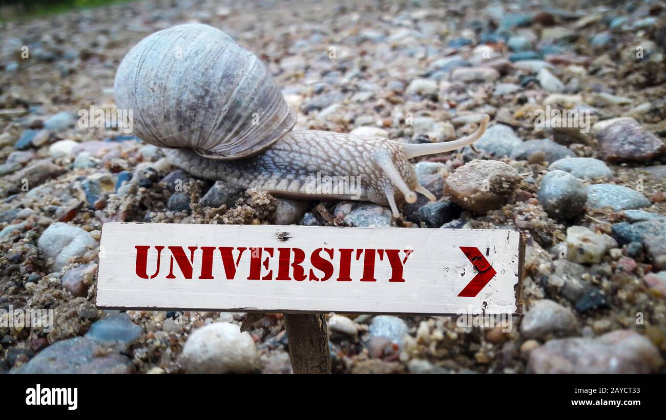 Street Sign to University Stock Photo - Alamy