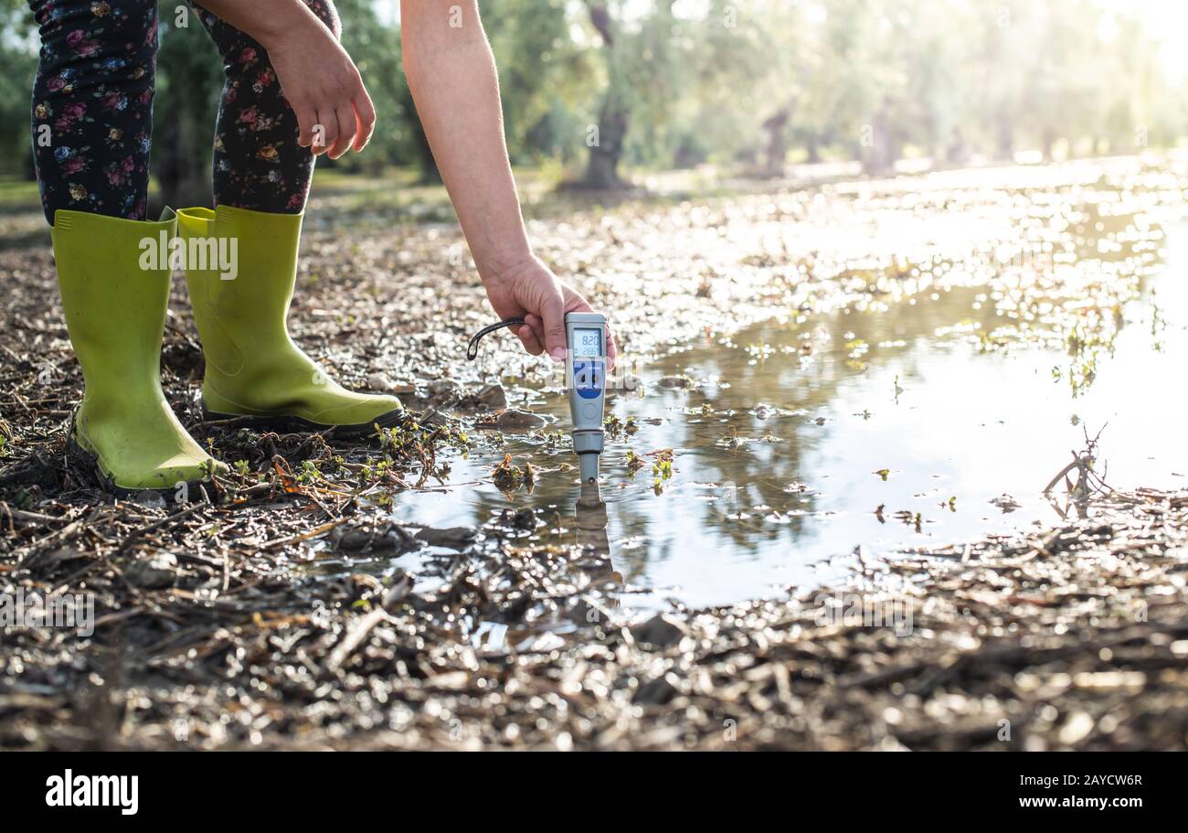 Measure water content with digital device. PH meter Stock Photo - Alamy