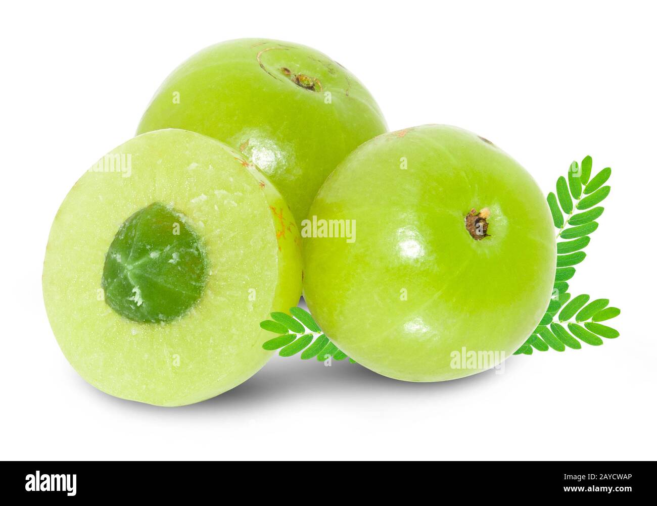Amla green fruits ,Phyllanthus emblica isolated on white background ...