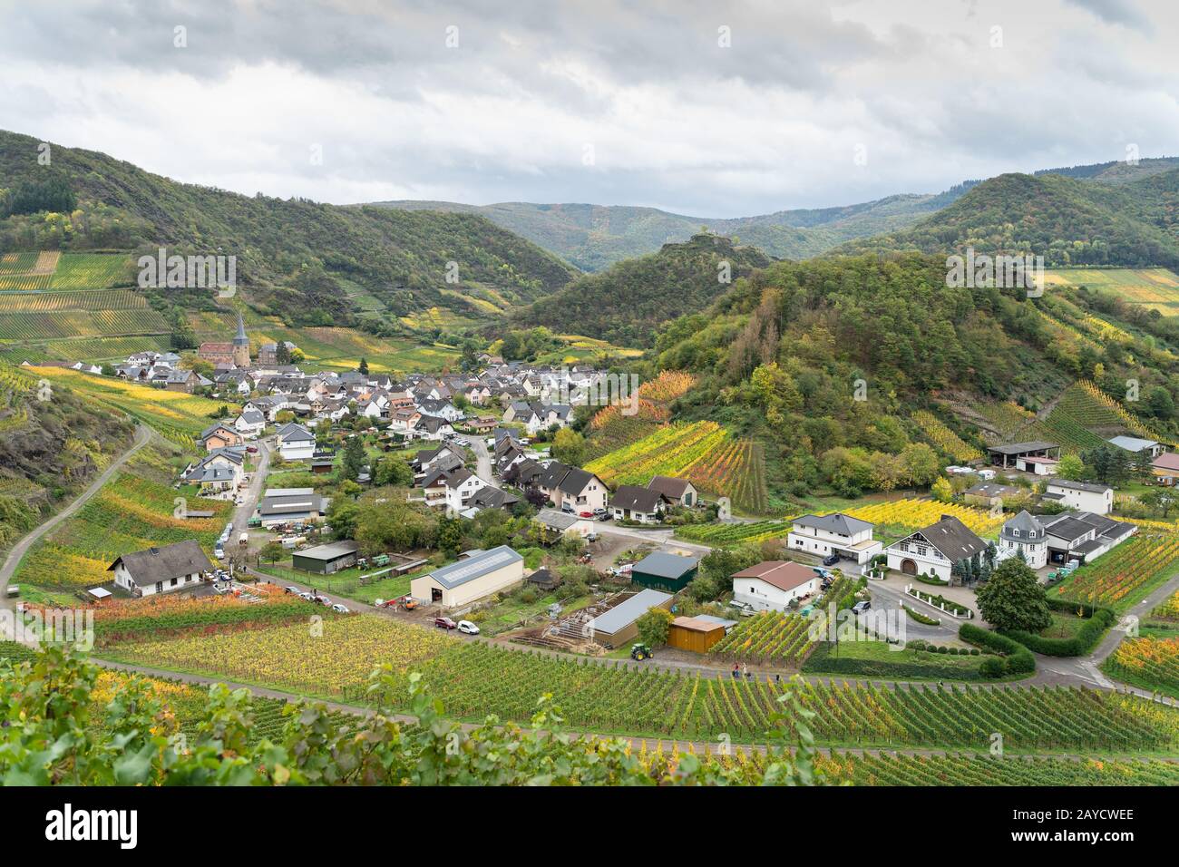 Hiking on the red wine trail in the Ahr valley in the rain Stock Photo ...