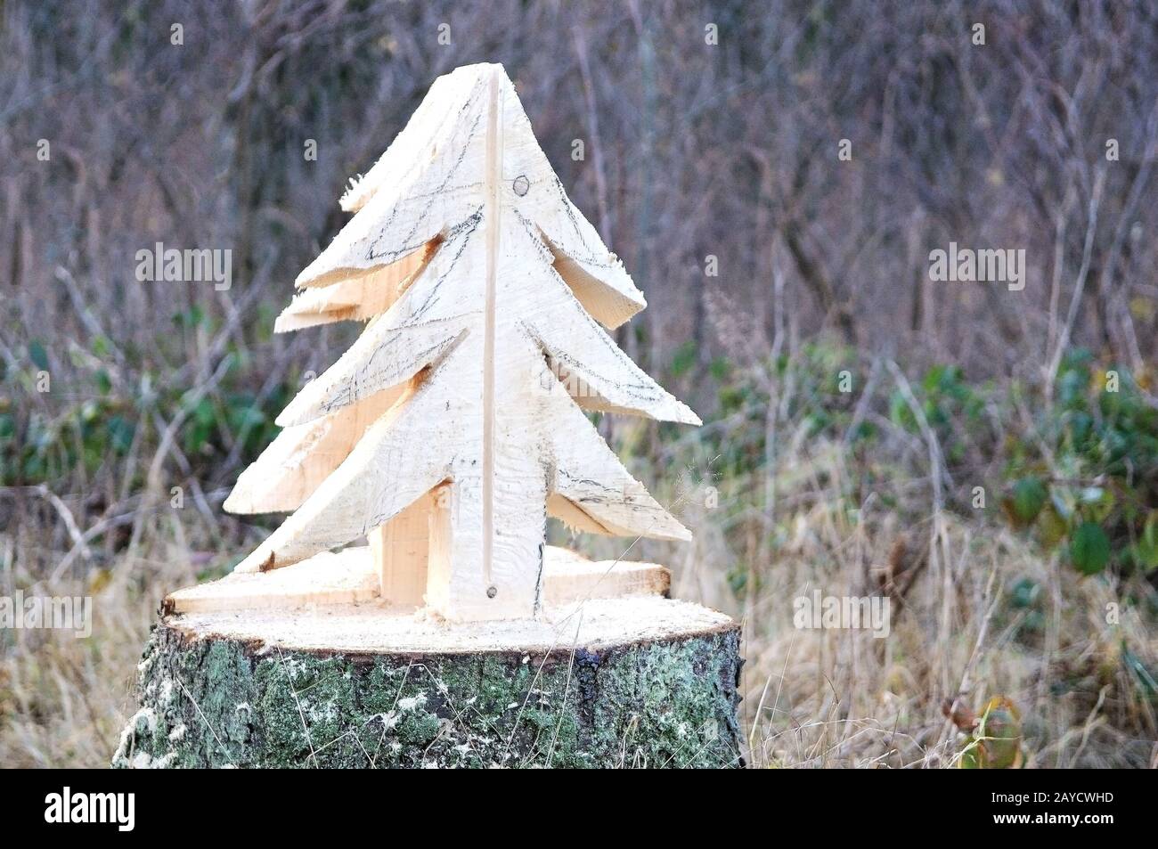 Tree in the tree Stock Photo - Alamy