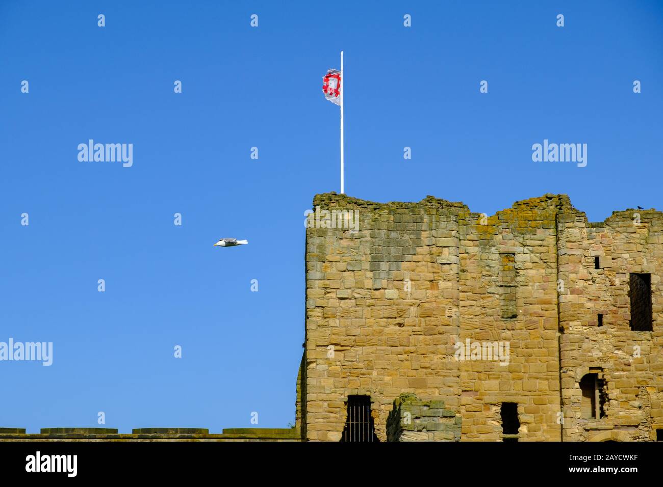 Medieval kingdom hi-res stock photography and images - Alamy