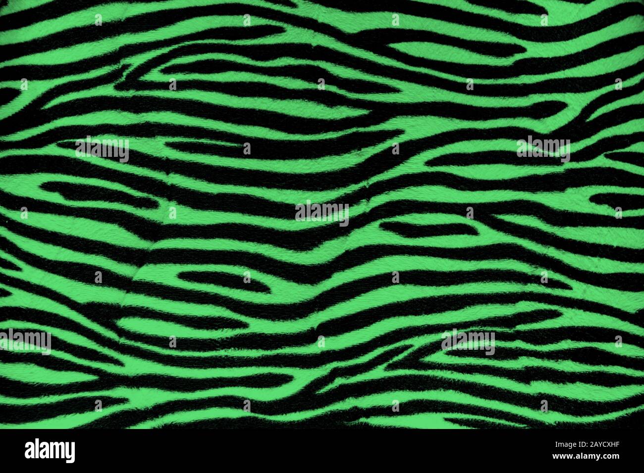 Green Zebra fur background texture Stock Photo - Alamy