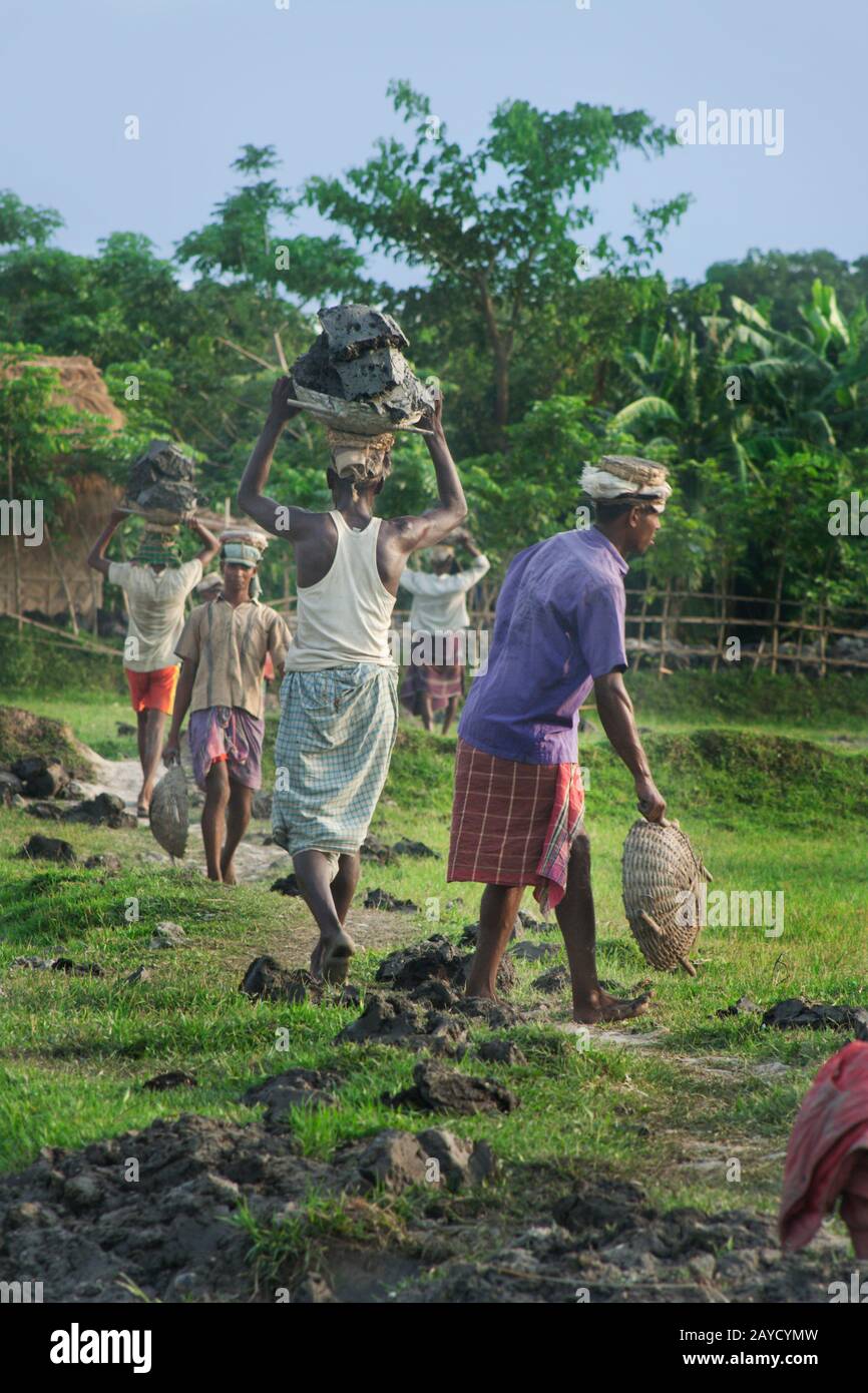 A day labourer carries a basket of soil on his head. Khulna, Bangladesh ...