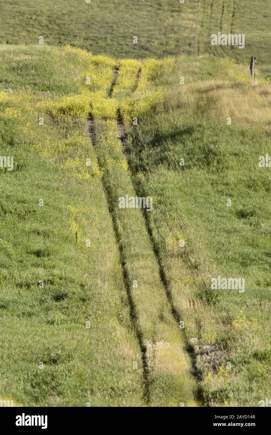 OldTrail in Prairie Stock Photo - Alamy