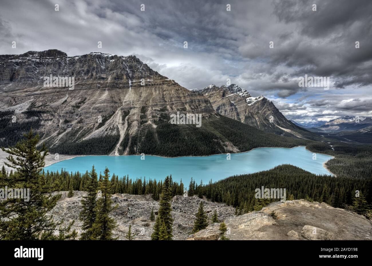 Peyto Lake Alberta Canada Stock Photo - Alamy