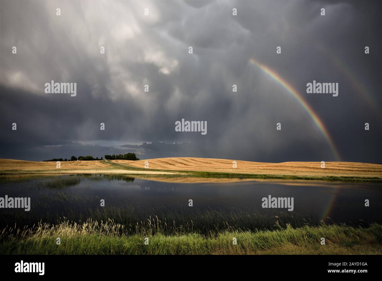 Saskatchewan Storm Rainbow Stock Photo - Alamy